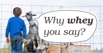 Six Evidence-Based Benefits of Whey Protein - Azure Standard