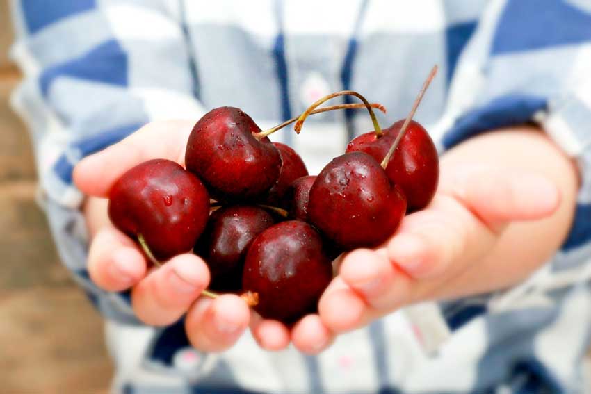 It's Cherry Time: Naturally Sweet and Satisfying Summer Treats - Azure ...
