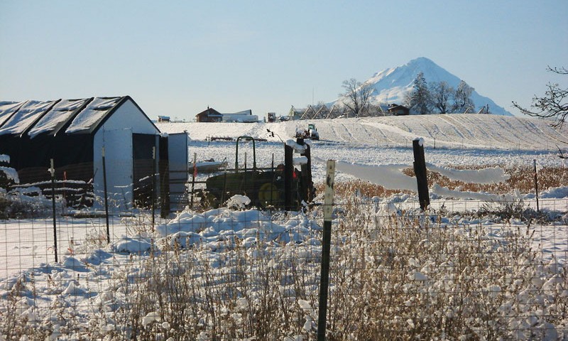 David Stelzer, CEO: Introducing the Azure Market Brand - Azure Standard