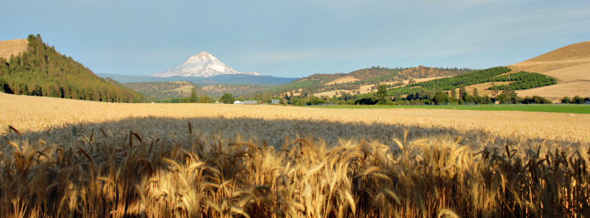 Thank you for contacting Azure - Azure Standard