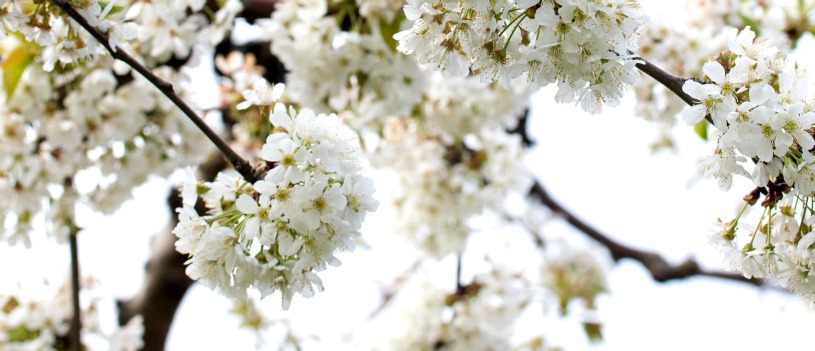 Your Drop on Facebook - Azure Standard