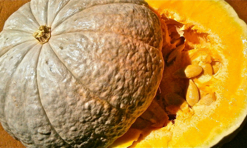 The Difference Between Heirloom, Hybrid and Open-Pollinated Seeds ...