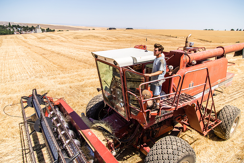 Search results for: “wheat” - Azure Standard