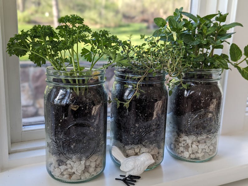 Creative Uses for Canning Jars - Azure Standard