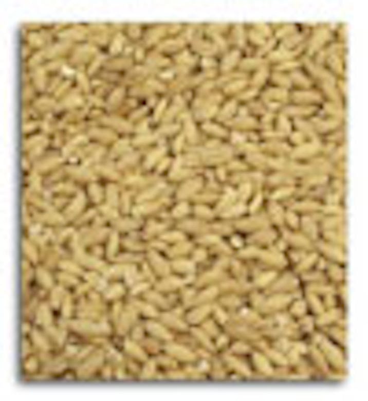 Dinner Decisions: The Benefits of Organic & Non-GMO Grains - Azure Standard