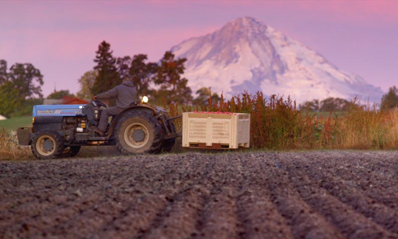 What's Growing Now on the Organic Azure Farm - Azure Standard