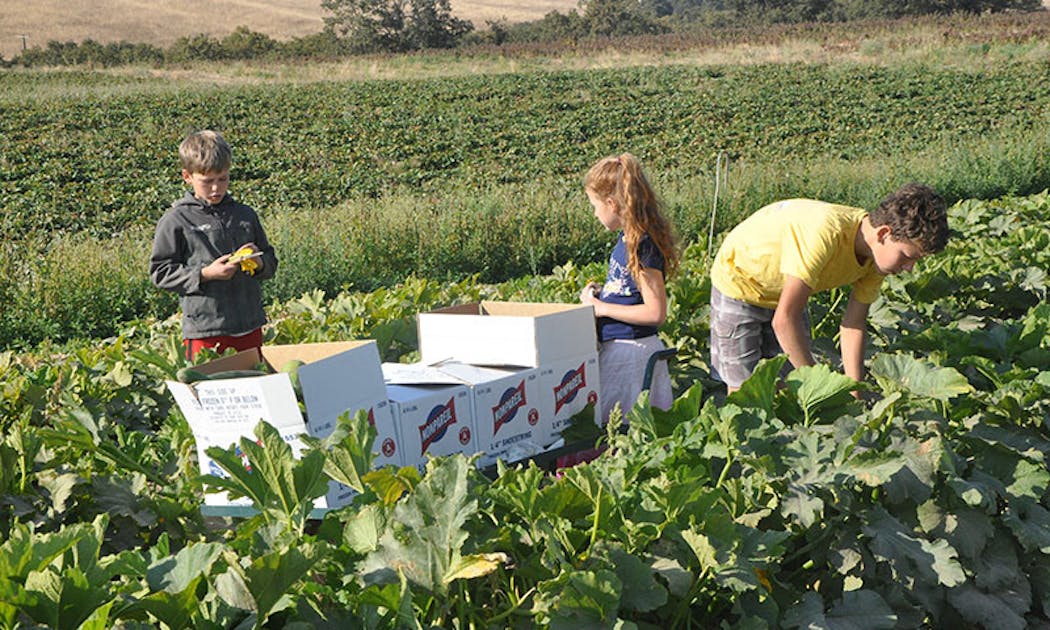 My Life on the Organic Azure Farm - Azure Standard