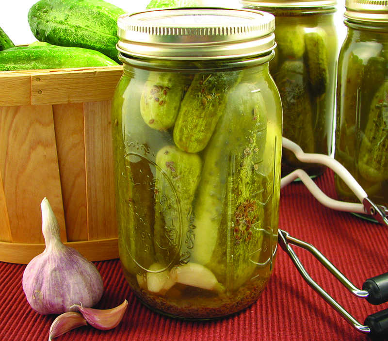 Classic Dill Pickles - Azure Standard