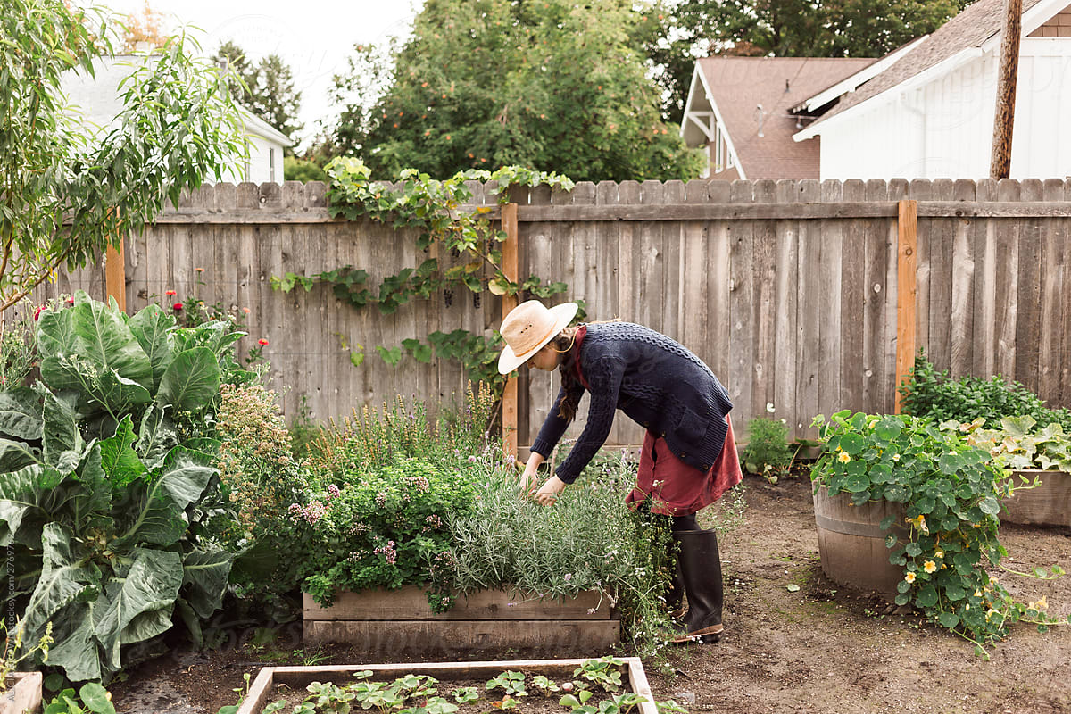 Search results for: “evaporated milk” - Azure Standard