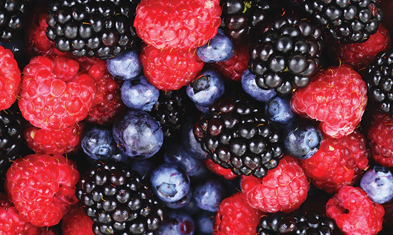 Search results for: “berries” - Azure Standard