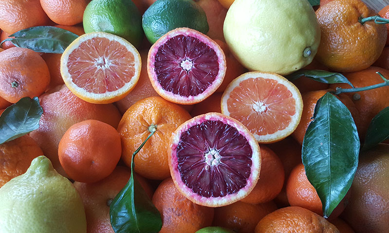 Why Health Benefits of Citrus Fruits Matter in Winter - Azure Standard