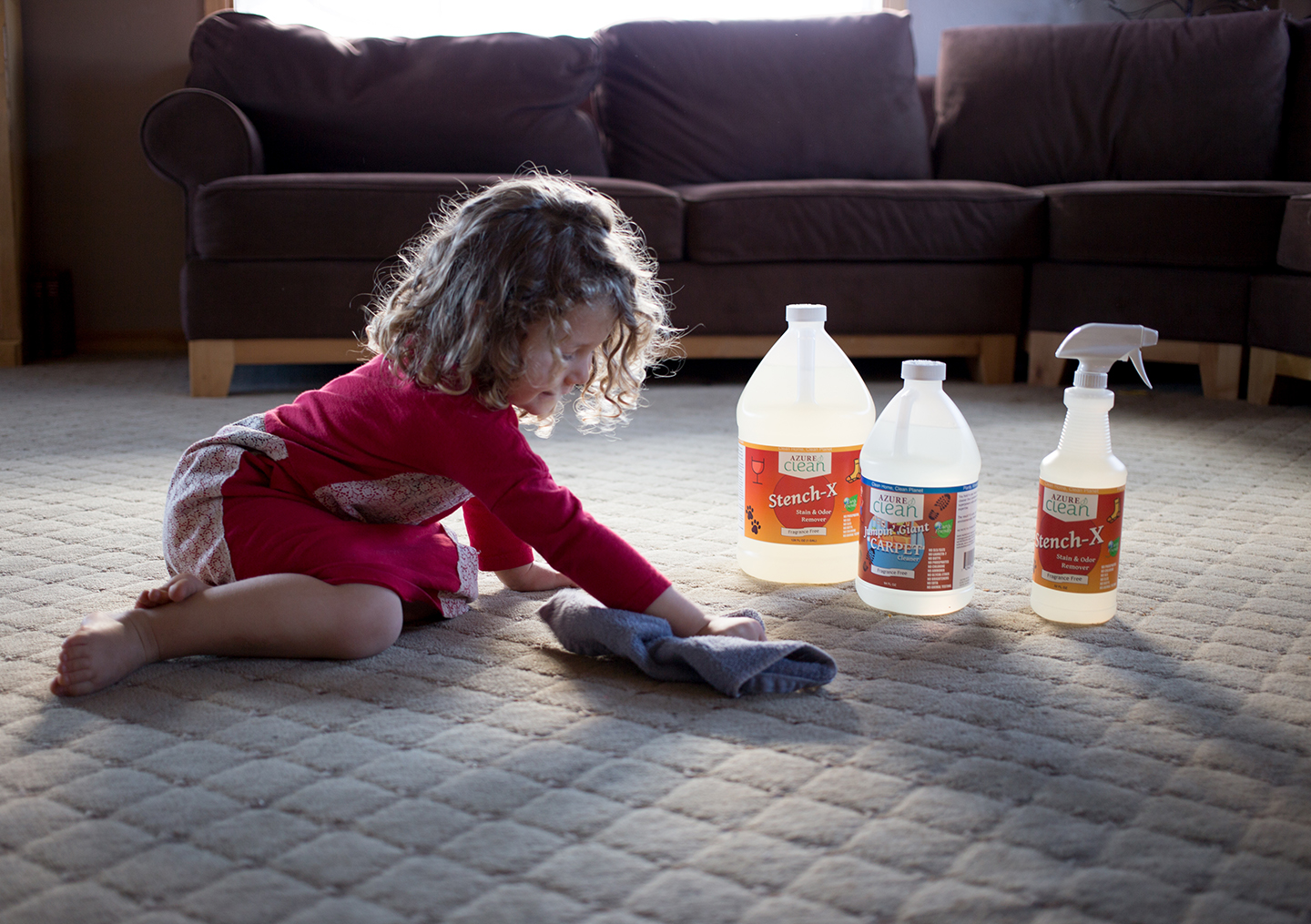 Azure Clean: Make Spring Cleaning Healthy For You and the Environment ...