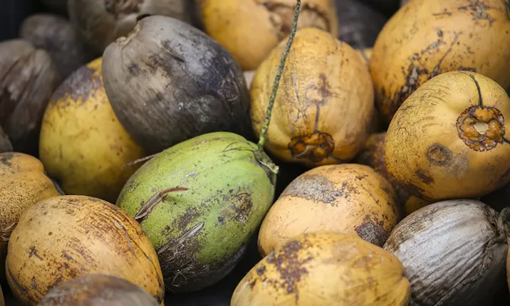Why Coconut Oil is the Most Versatile of Cooking Oils - Azure Standard