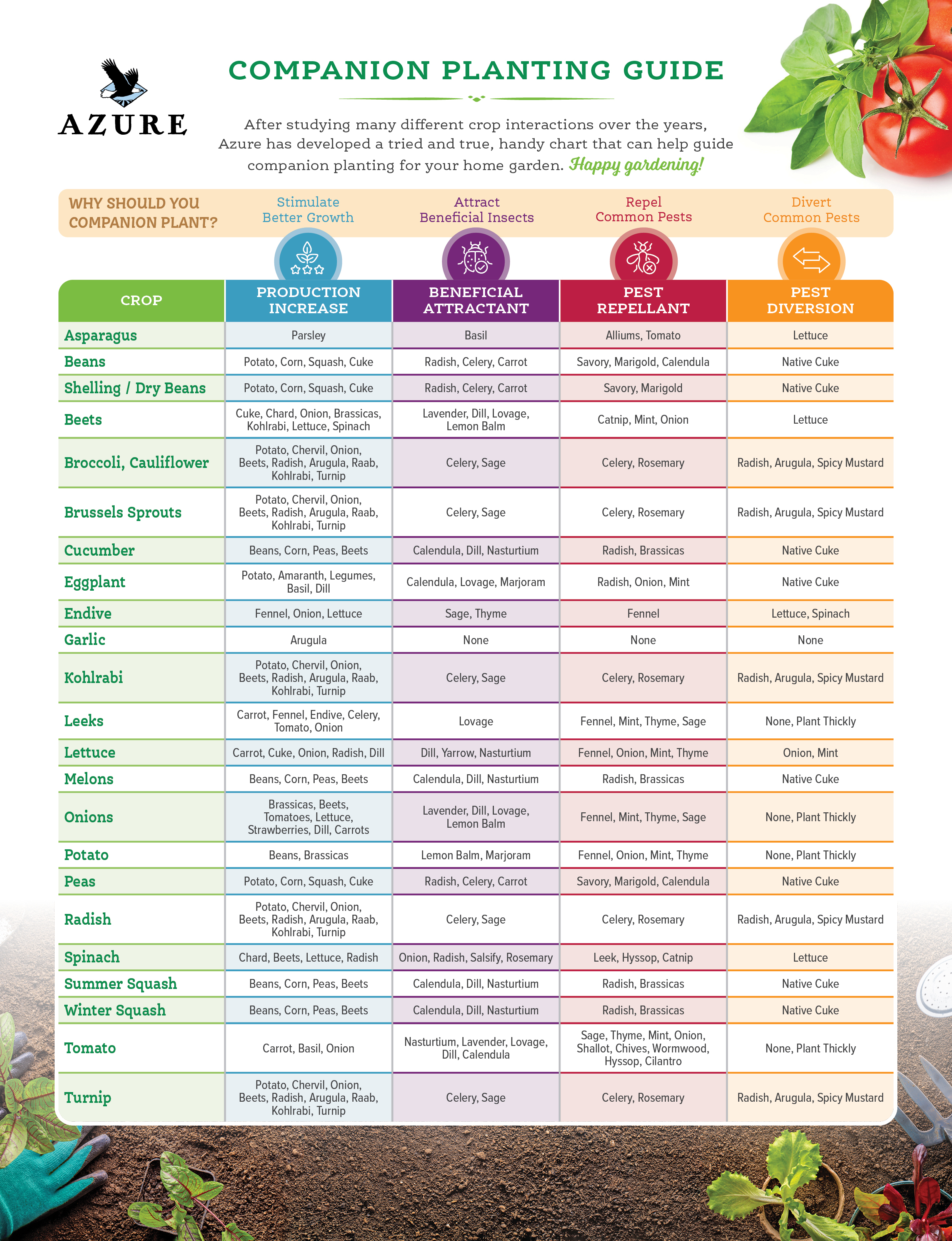 Companion Planting Chart