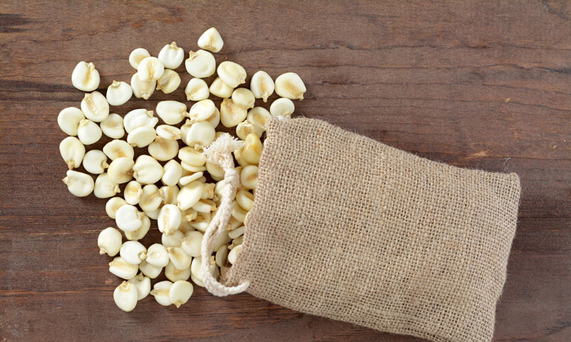 Inka Corn Nuts & Plantain Chips are Light & Tasty - Azure Standard