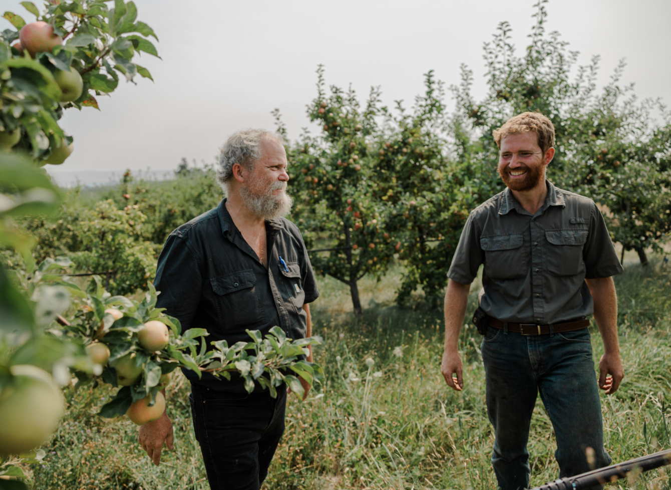 Pears, Apples, Azure Orchards, Canning Jars & Your Questions Answered ...