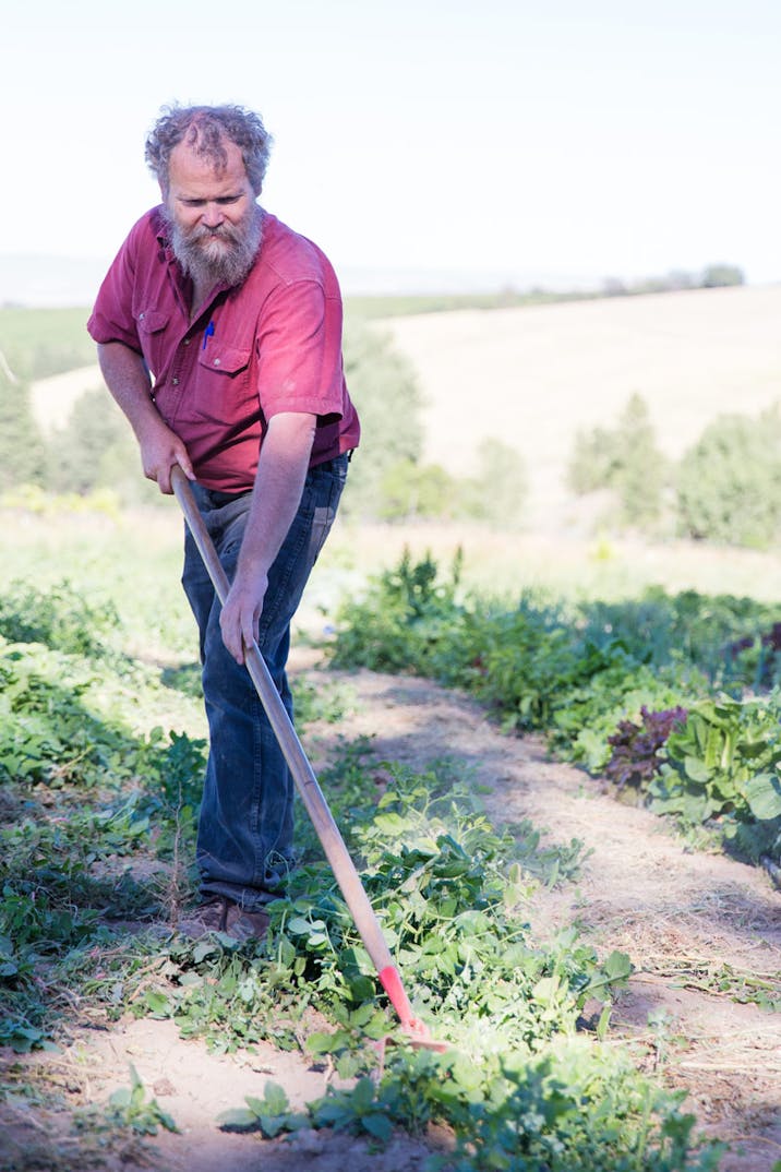 How a Small Farm Became a Pioneer in the Organic Food Movement - Azure ...