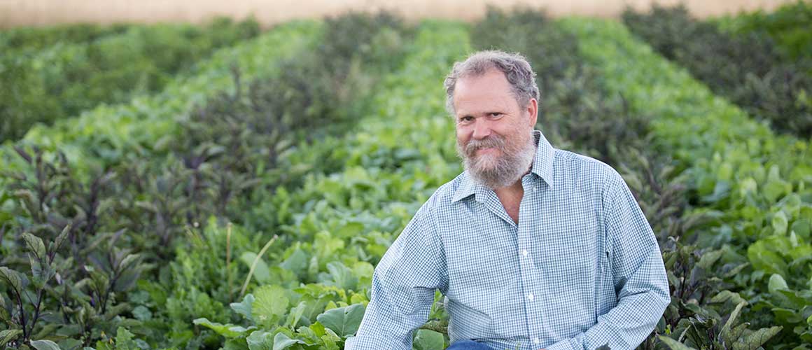 Can you bring 'dead' soil back to life? Azure founder shares how ...