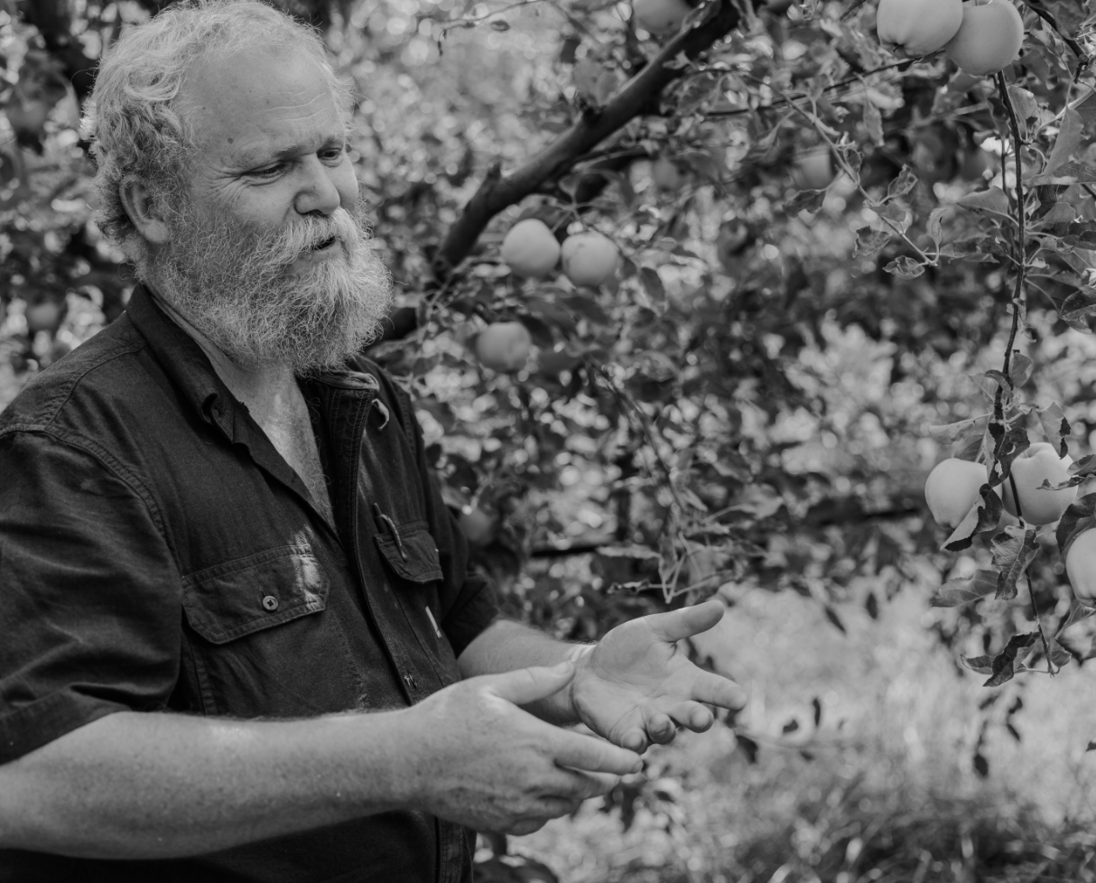 Founder David Stelzer to Speak at Seedtime’s Free Online Seed to ...