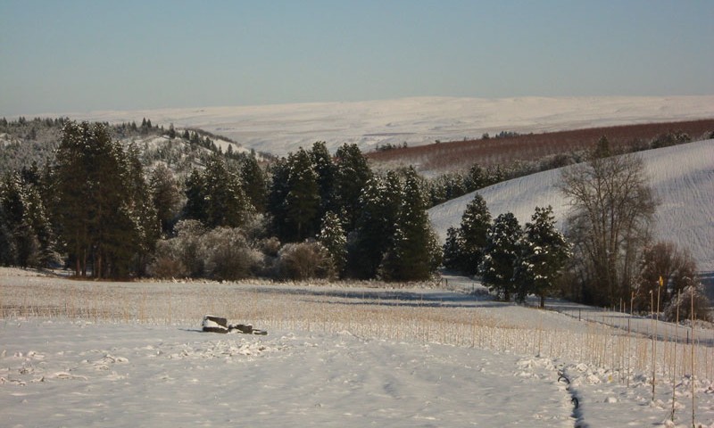 David Stelzer, CEO: A New Year of Health and Happiness - Azure Standard