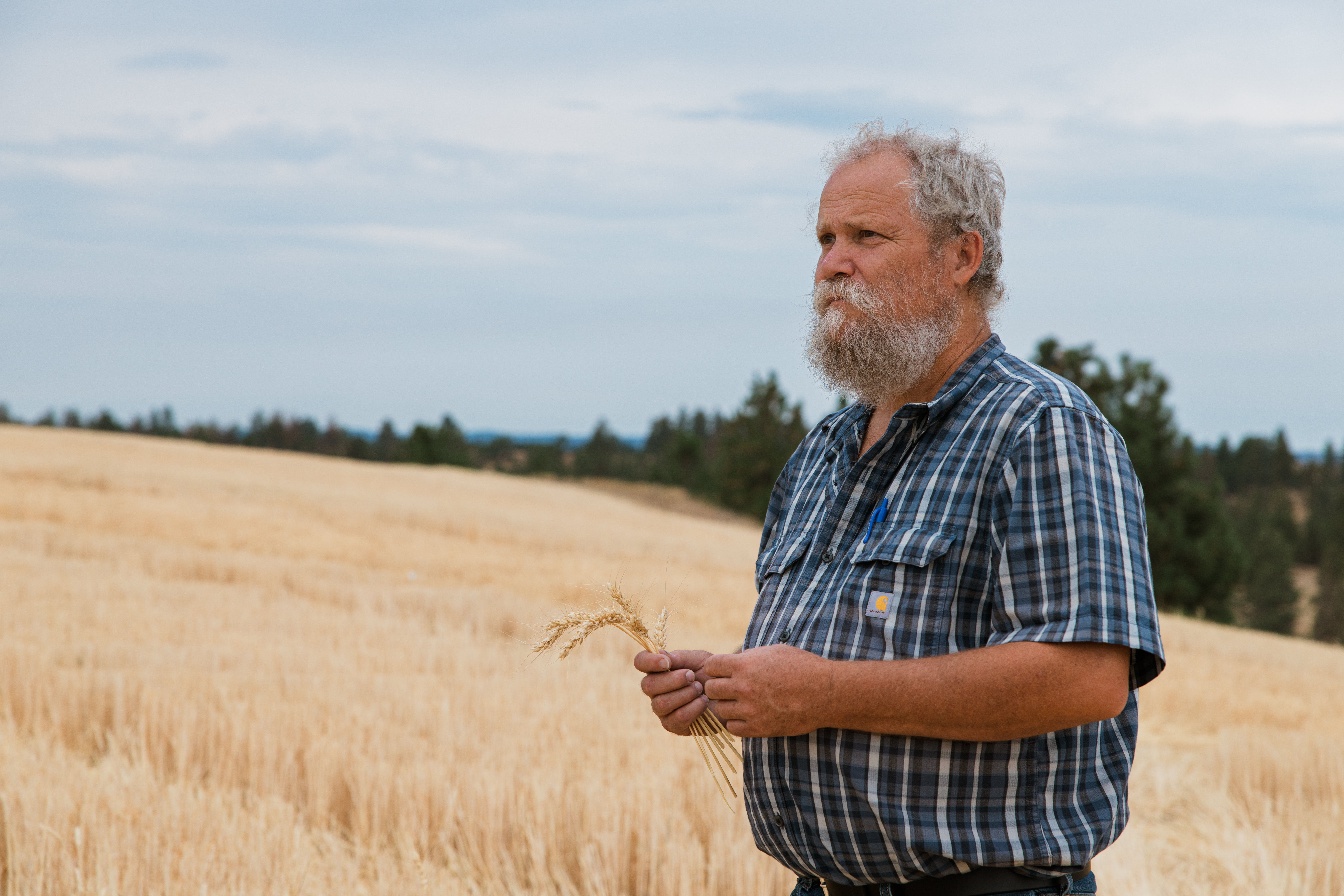 Ten Thanksgiving Questions & Answers with David Stelzer - Azure Standard