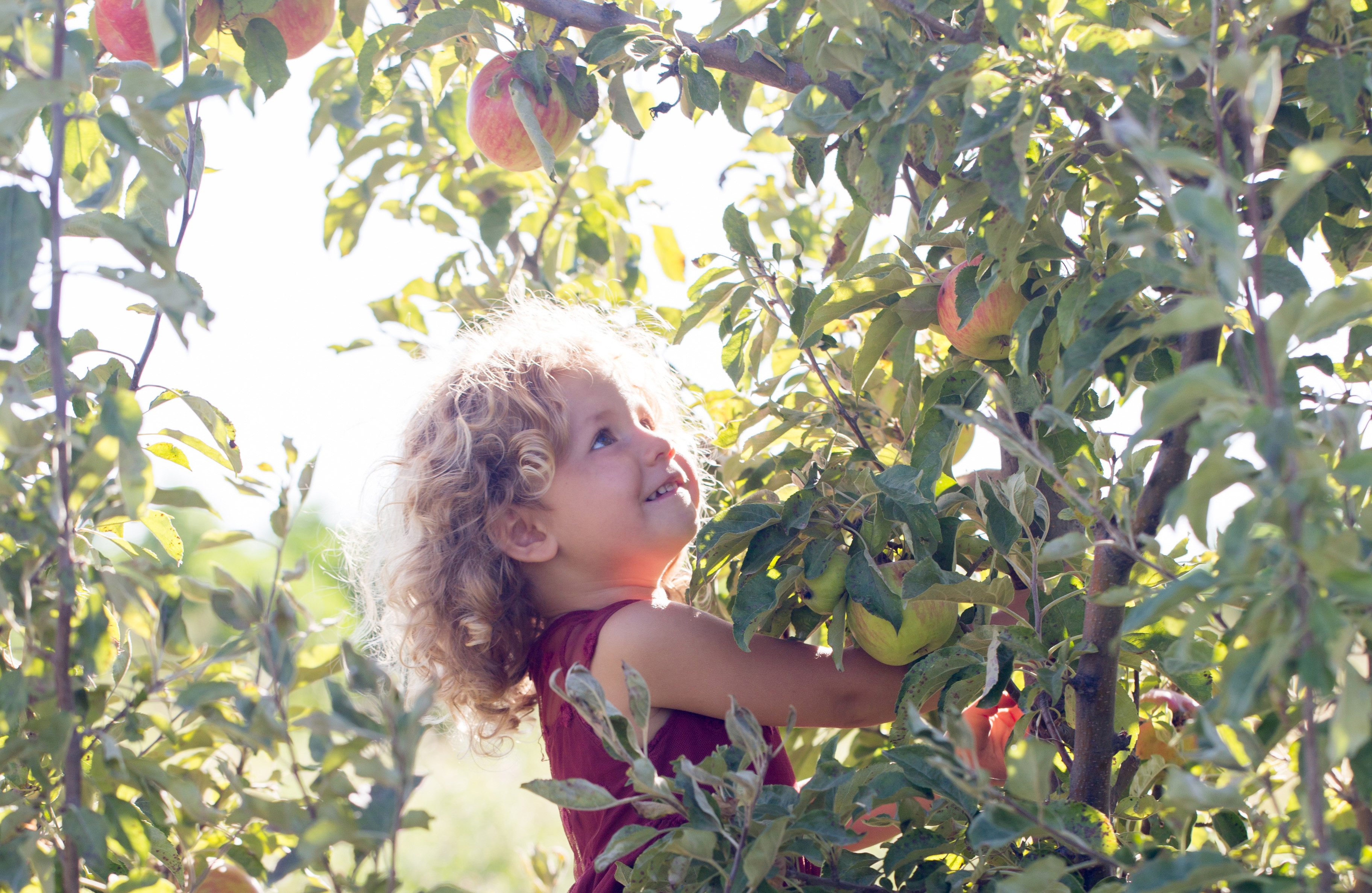 Storybook Wellness - Azure Standard