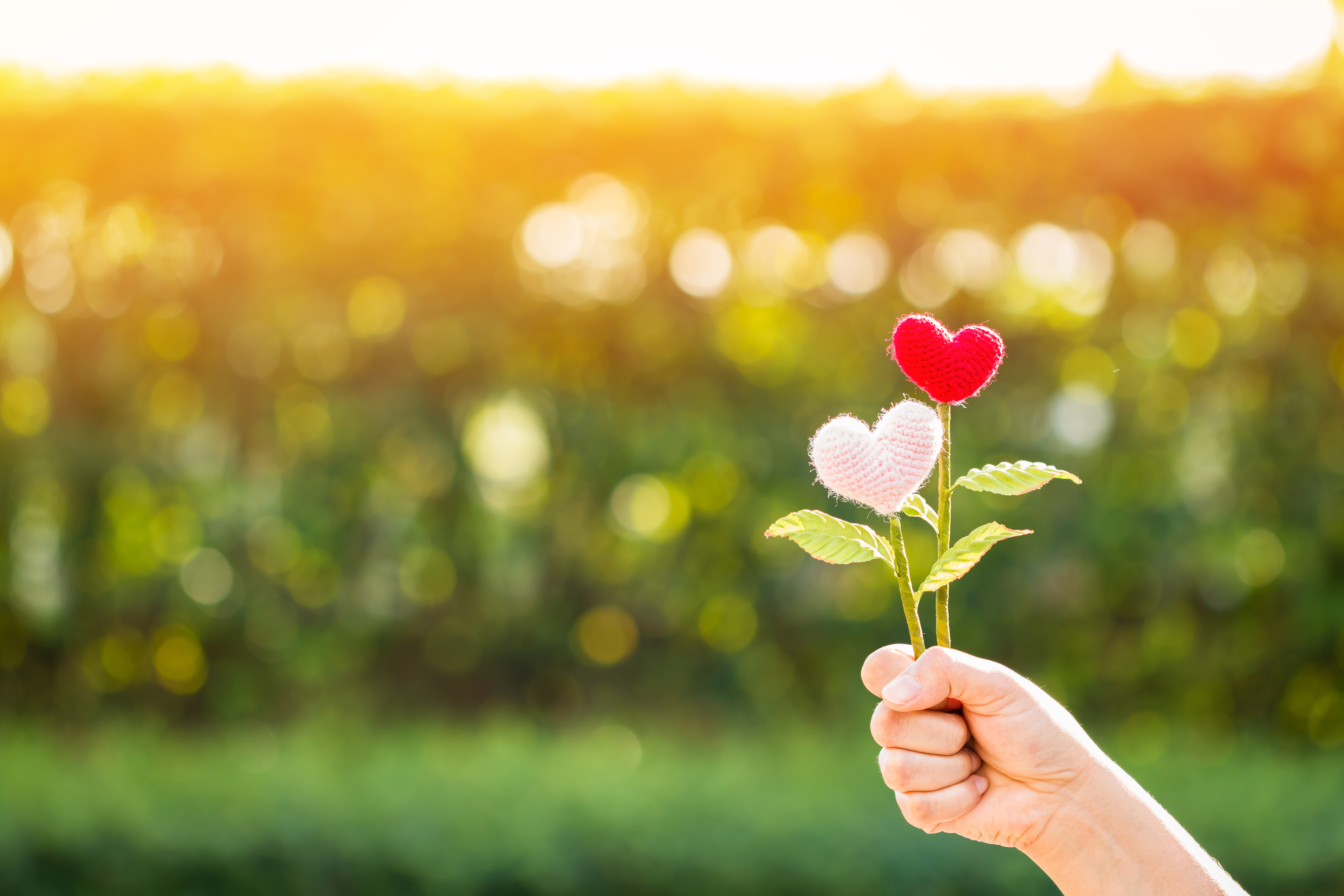 Search results for: “plants” - Azure Standard