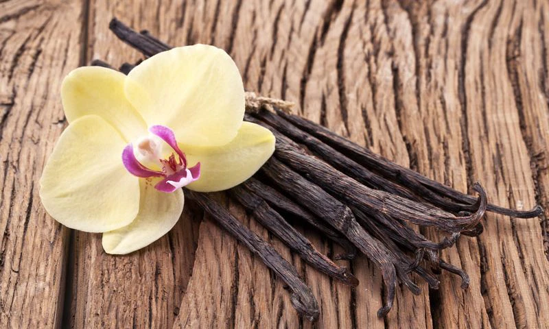 Search results for: “vanilla” - Azure Standard