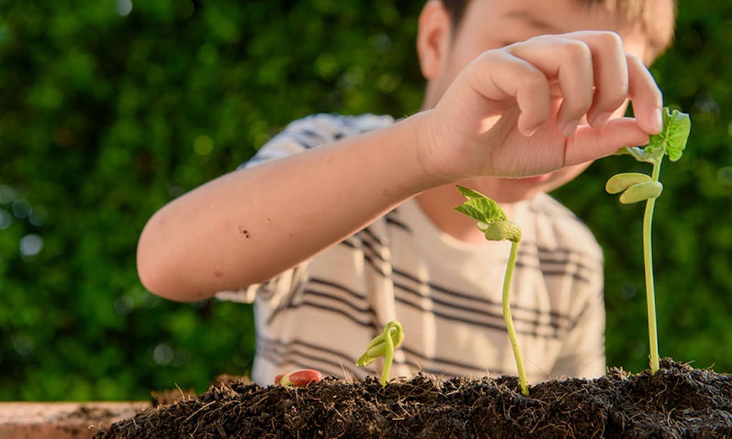 Healthy Soil Begins with Tainio Organic Fertilizer - Azure Standard
