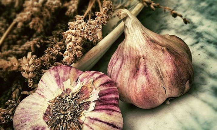 Natural Remedies vs. Antibiotics: The Story of Convenience - Azure Standard