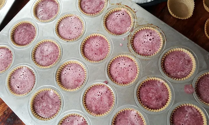 Homemade Gelatin Berry Gummies - Azure Standard