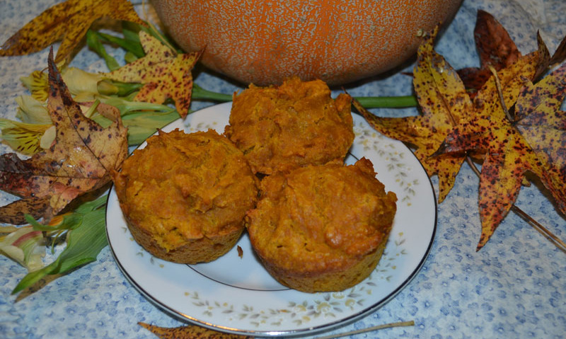 Grain & Sugar Free Pumpkin Muffins - Azure Standard