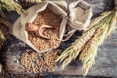 What to do with Whole Grains - Azure Standard