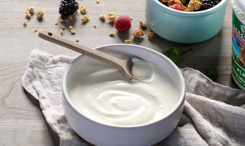 Search results for: “yogurt” - Azure Standard