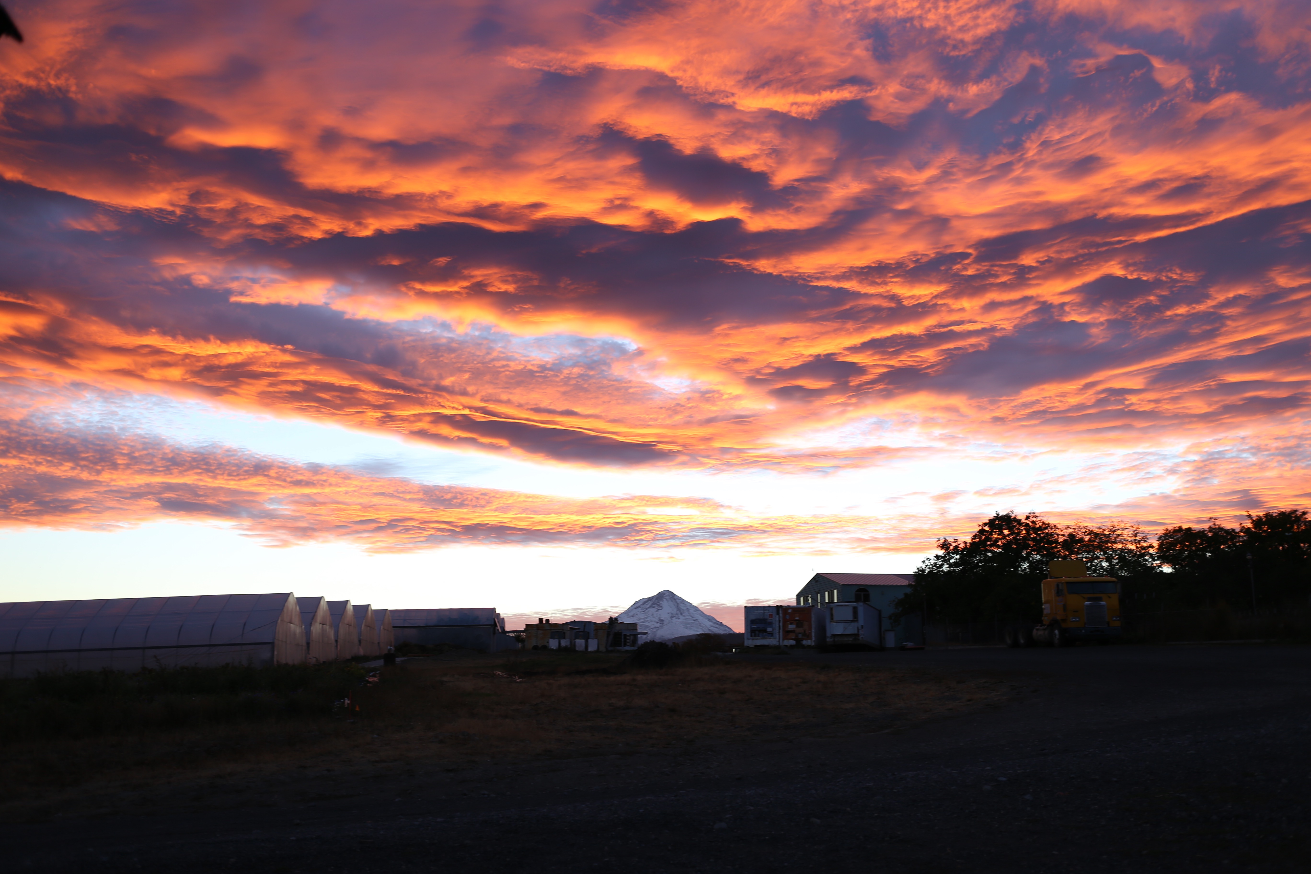 Abundantly Azure - Azure Standard