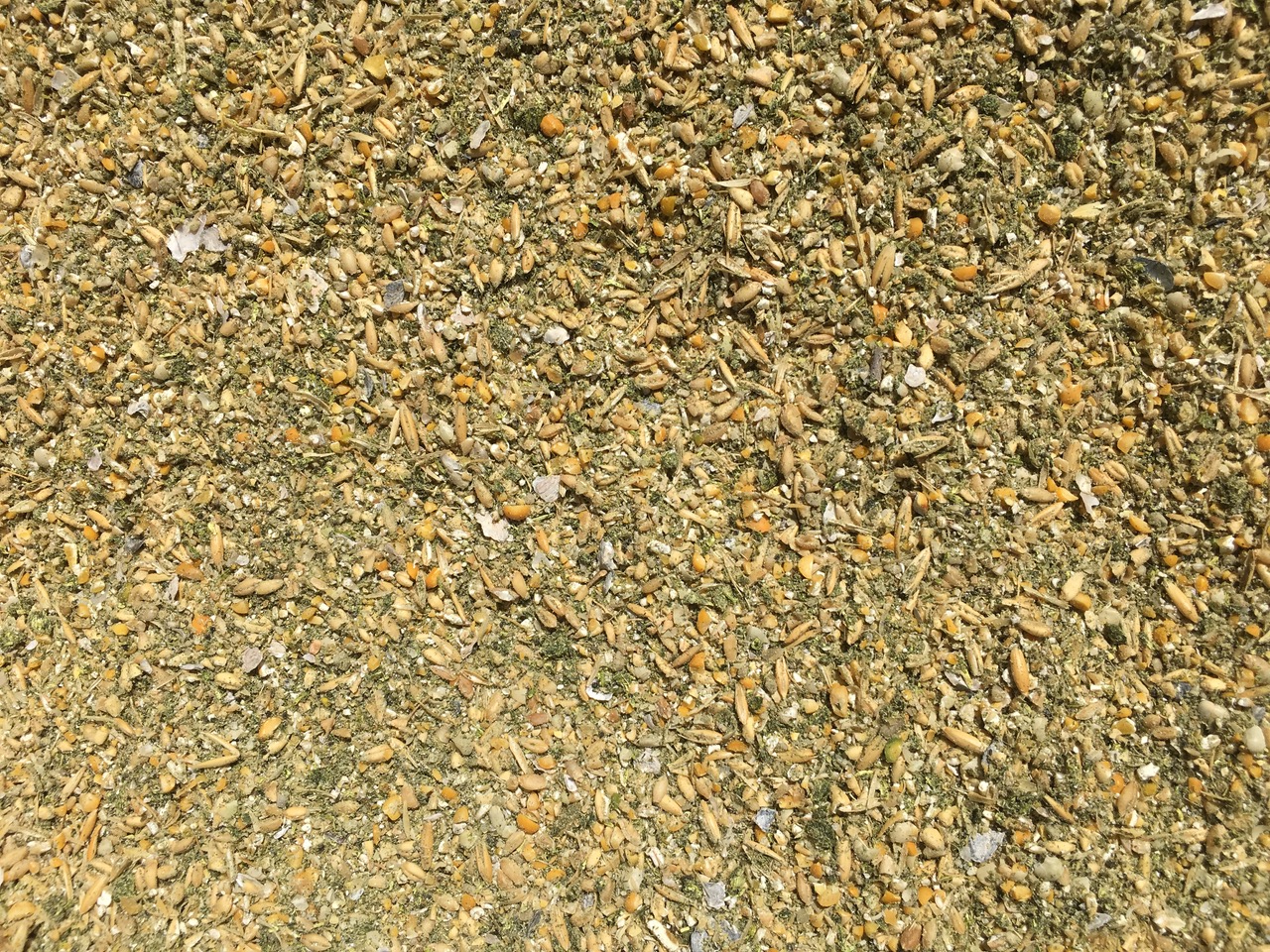 Azure Hens Speak Up (and We Share an Organic Layer Feed Recipe) - Azure ...