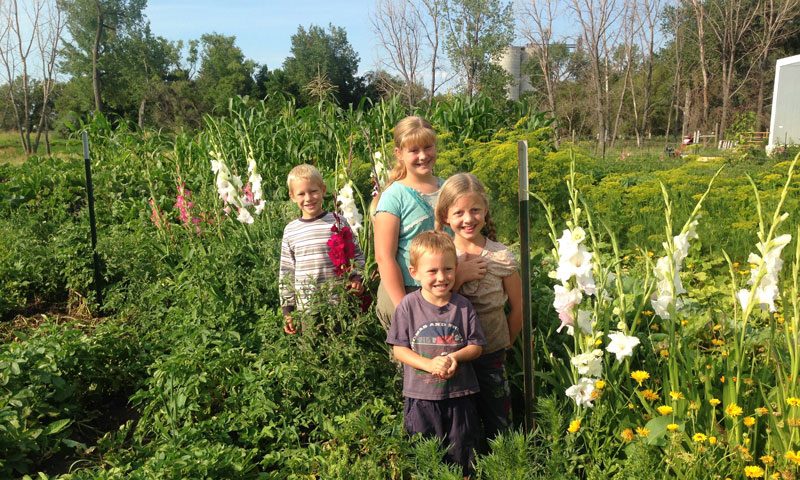 6 Fun Gardening Activities for Kids this Summer - Azure Standard