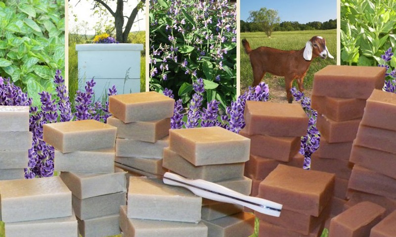 Azure Life search for “Farms+milk” - Azure Standard