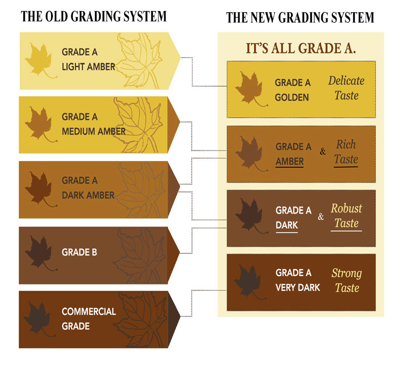 The New Grading System for Maple Syrup - Azure Standard