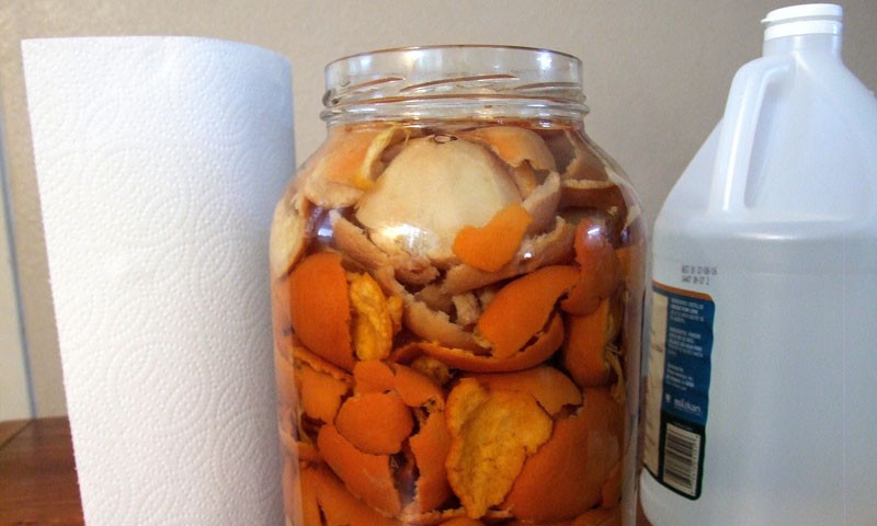 How to Make Homemade Natural All-Purpose Orange Cleaner - Azure Standard