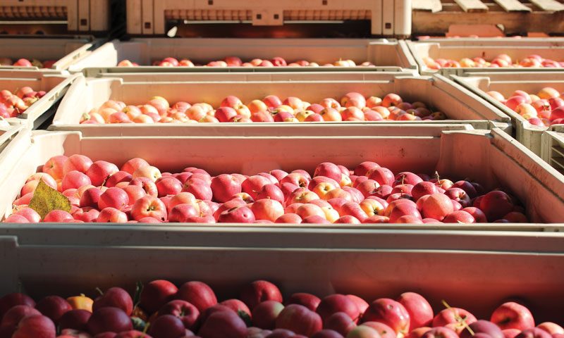 David Stelzer, CEO: Azure's New Website & Azure Advantage - Azure Standard