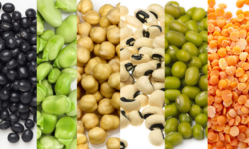 Health Benefits of Legumes, Beans & Lentils with Recipes - Azure Standard