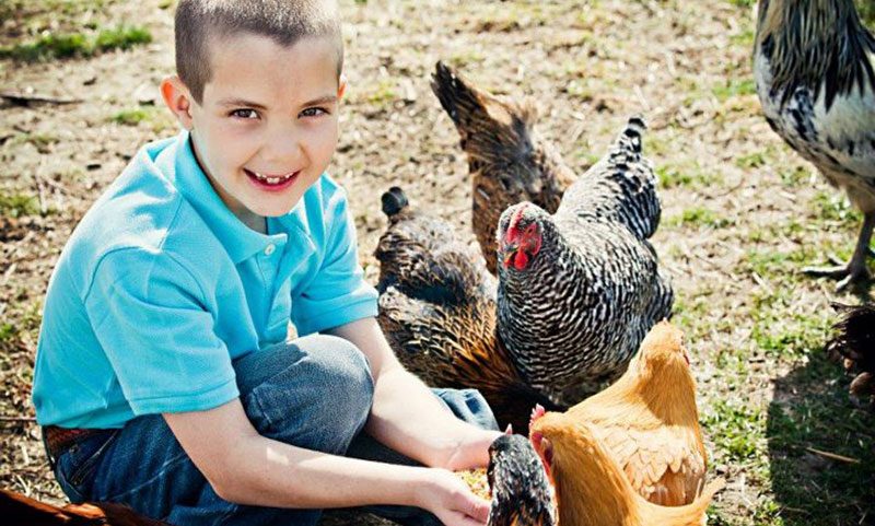 Search results for: “organic prairie chicken” - Azure Standard