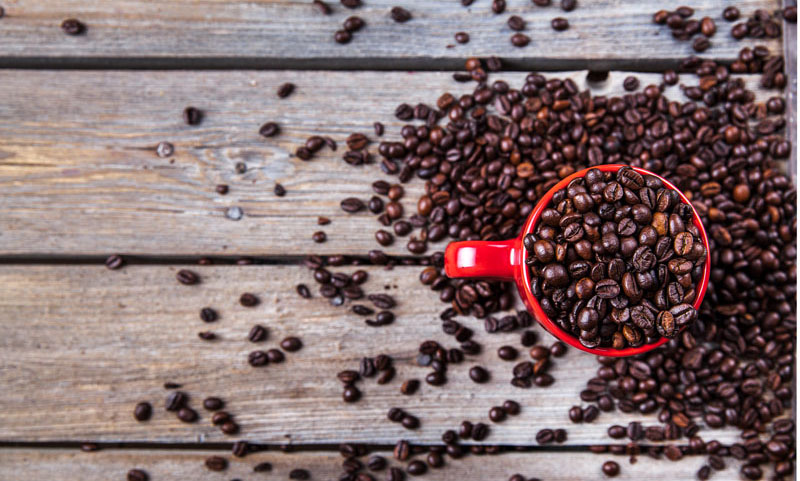 Search results for: “robest+organic+coffee” - Azure Standard