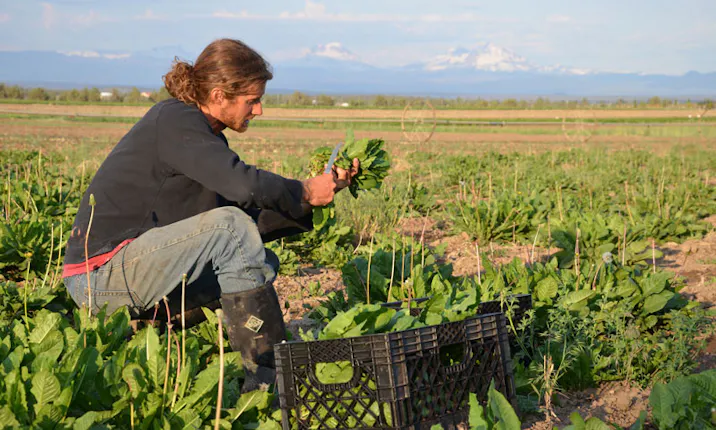 Oregon's Wild Harvest Wants to Reconnect You with Plants - Azure Standard