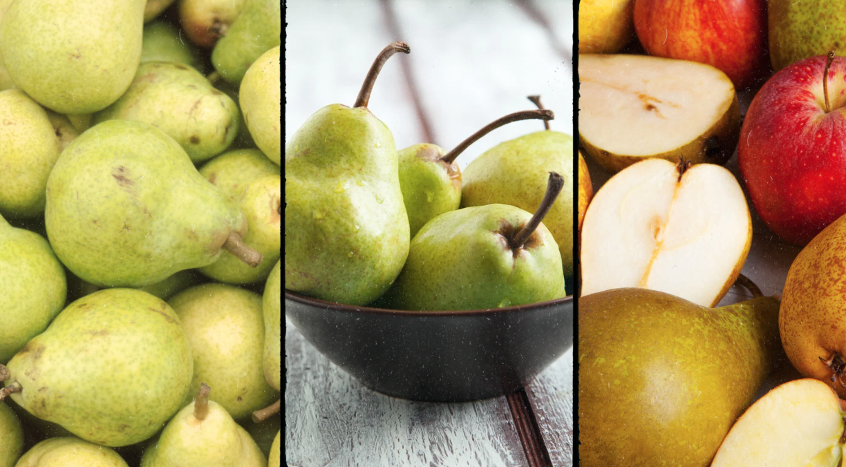 Azure Standard - Azure Standard