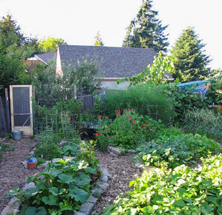 What is Permaculture? It's More Than a Way to Garden - Azure Standard