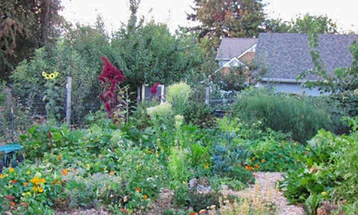 What is Permaculture? It's More Than a Way to Garden - Azure Standard