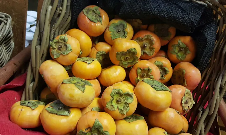 RECIPE: Grain-Free Persimmon Bread Pudding - Azure Standard