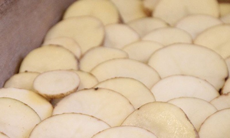 RECIPE: Savory Scalloped Potatoes - Azure Standard